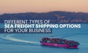 Different Types of Sea Freight Shipping Options for Your Business ...